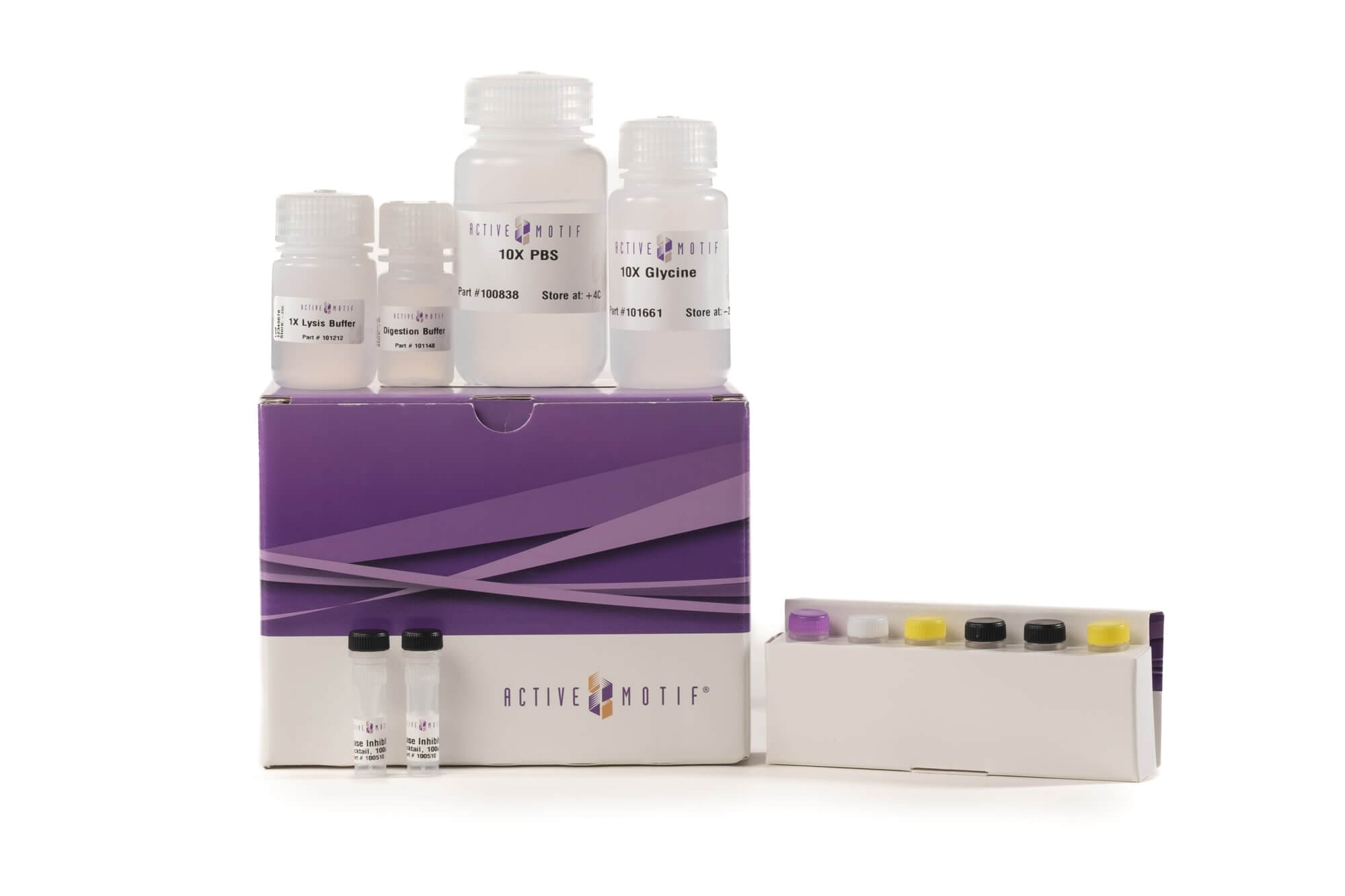 ChIP-IT® Express Chromatin Immunoprecipitation Kits | Proteintech